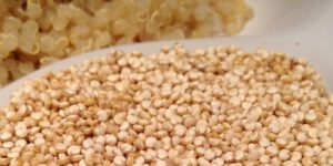 Quinoa und die Inkas / Claudia Earp